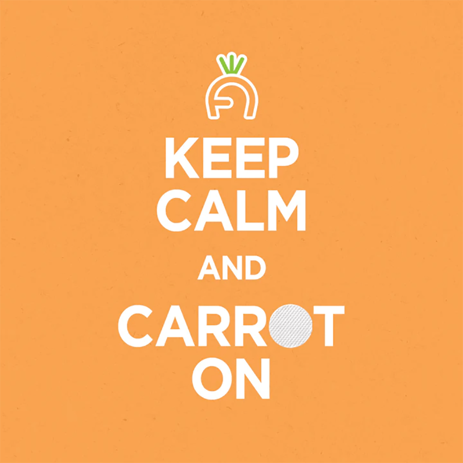 Carrot Carotene Calming Water Pad 250g – Coréelle