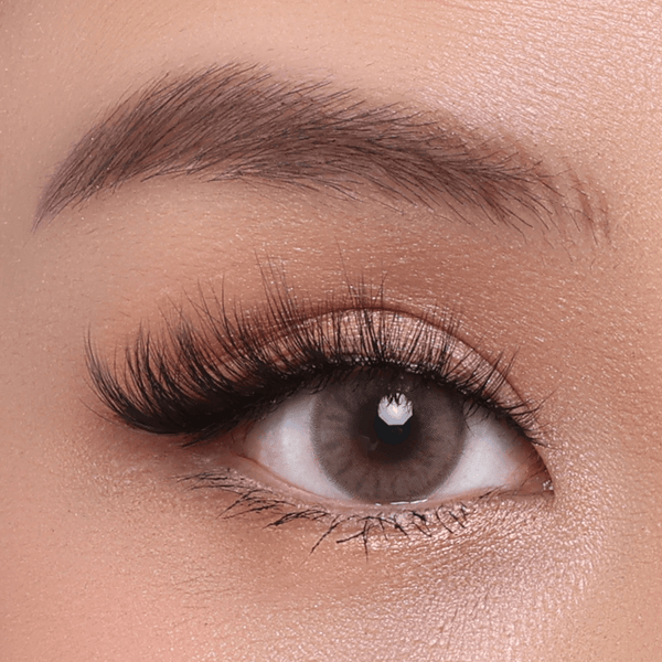 Honey Lashes – Coréelle